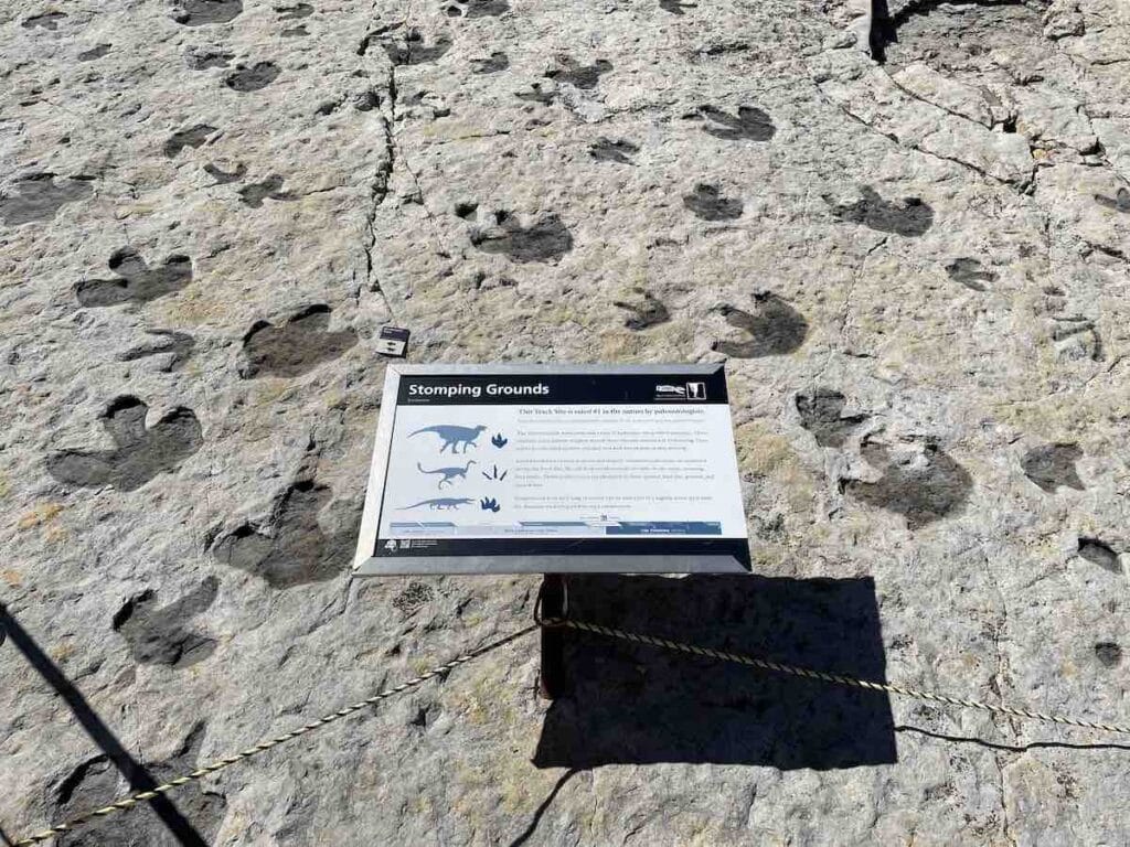 Denver Bike Rides: Dinosaur Ridge – Red Rocks Loop